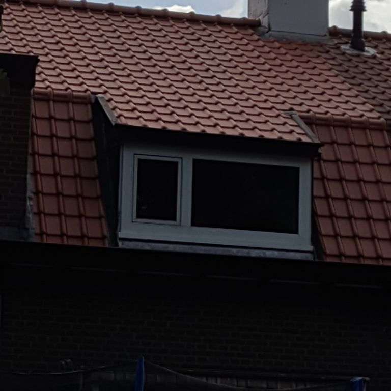 Dakpannen leggen? Vind de juiste dakdekker | Werkspot