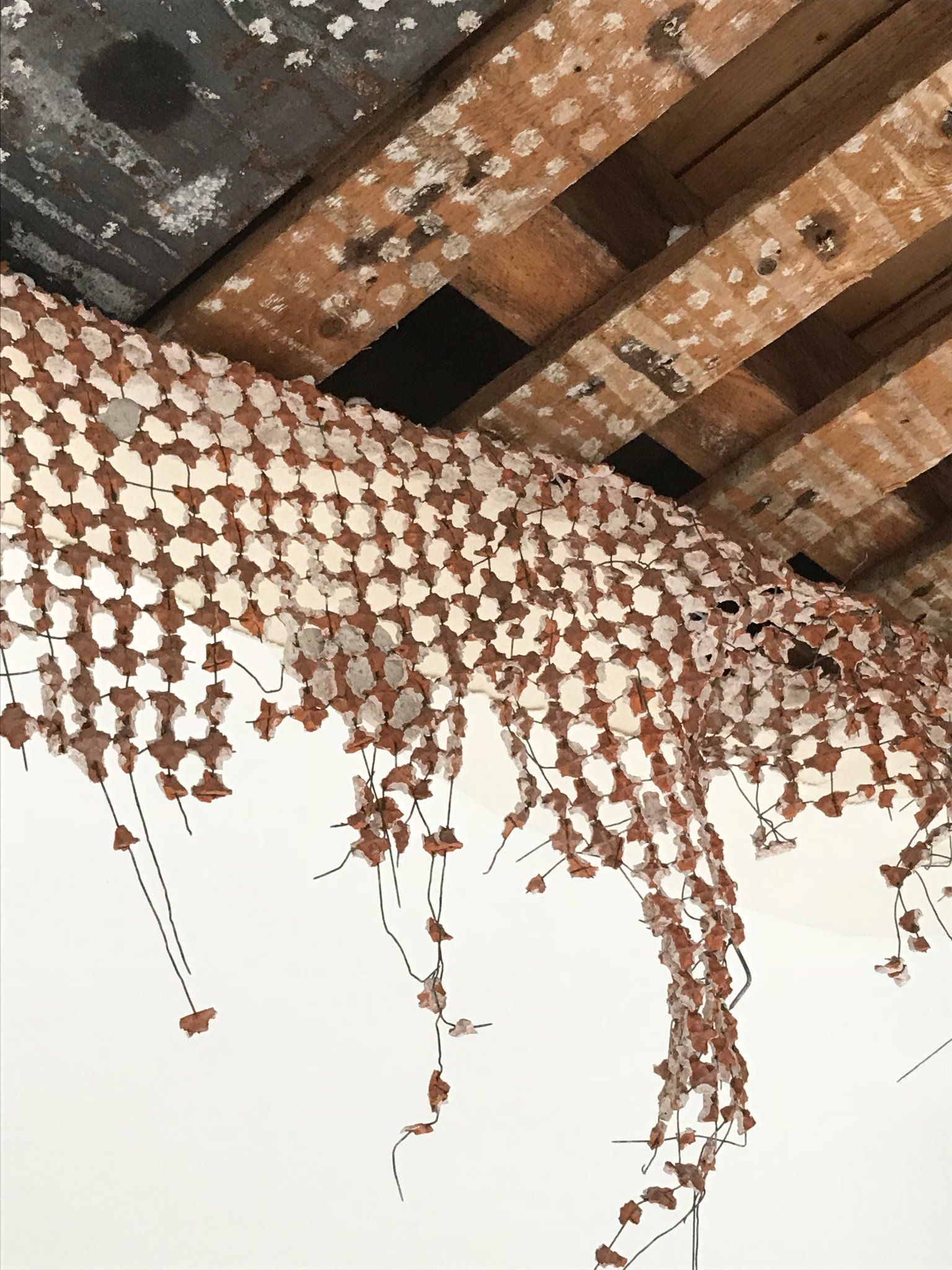 Plafond (stuc op gaas) verwijderen/slopen - Werkspot