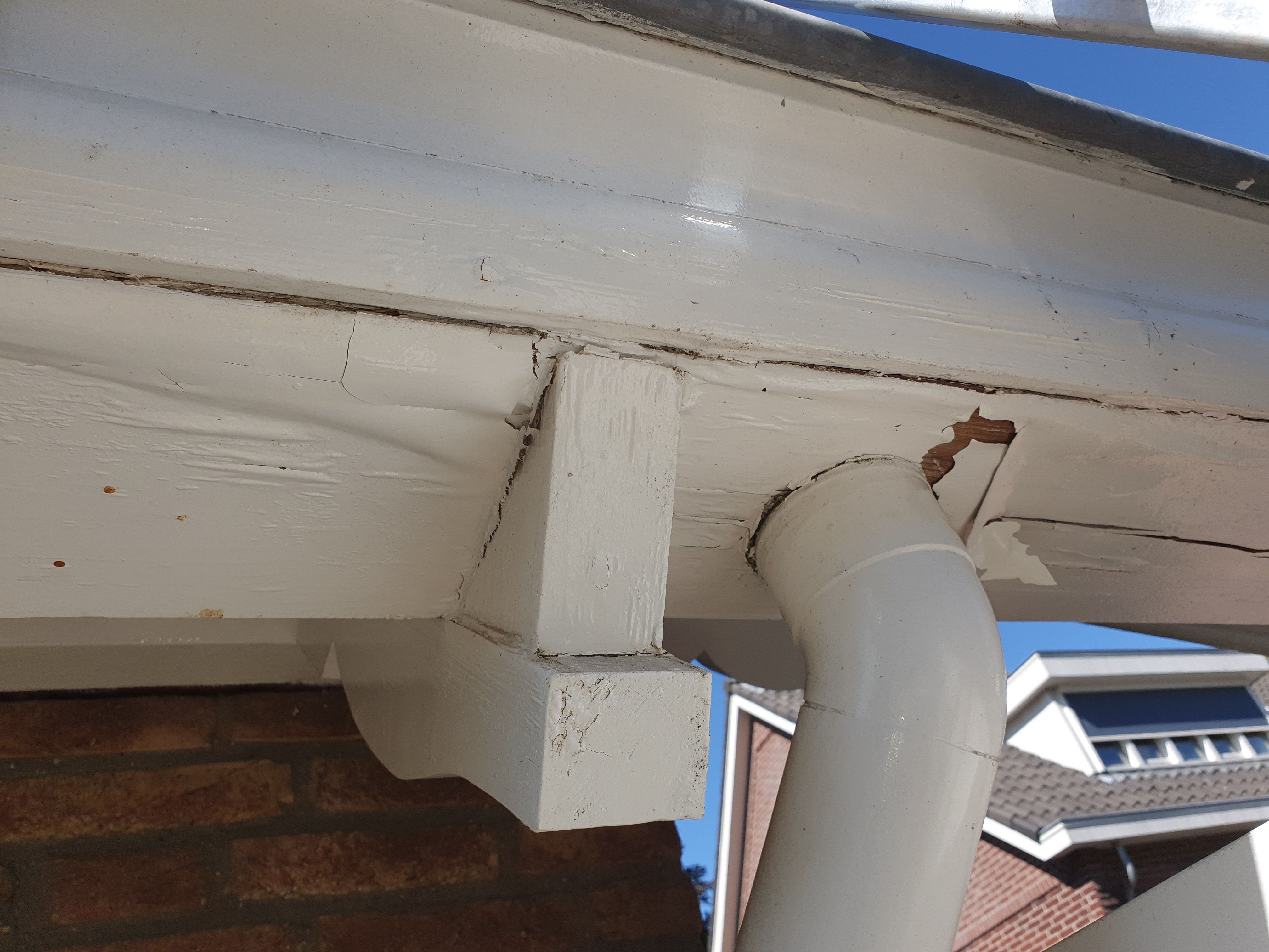 Lekkage: verbinding dakgoot-regenpijp lekt waardoor houten goot nat ...