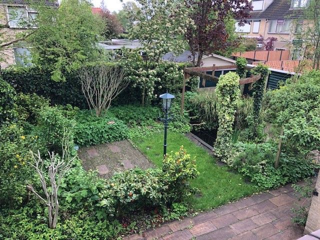 Tuinonderhoud 188 M2 Offering 450 Euros To Complete This Work Werkspot tuinonderhoud-188-m2-offering-450-euros-to-complete-this-work-werkspot