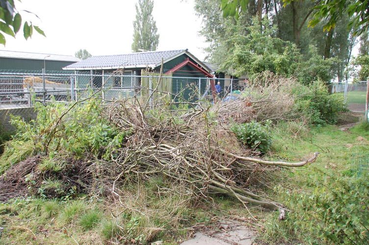 Tuin ruimen/egaliseren en grasmat aanleggen - Werkspot Tuin ruimen/egaliseren en grasmat aanleggen - Werkspot