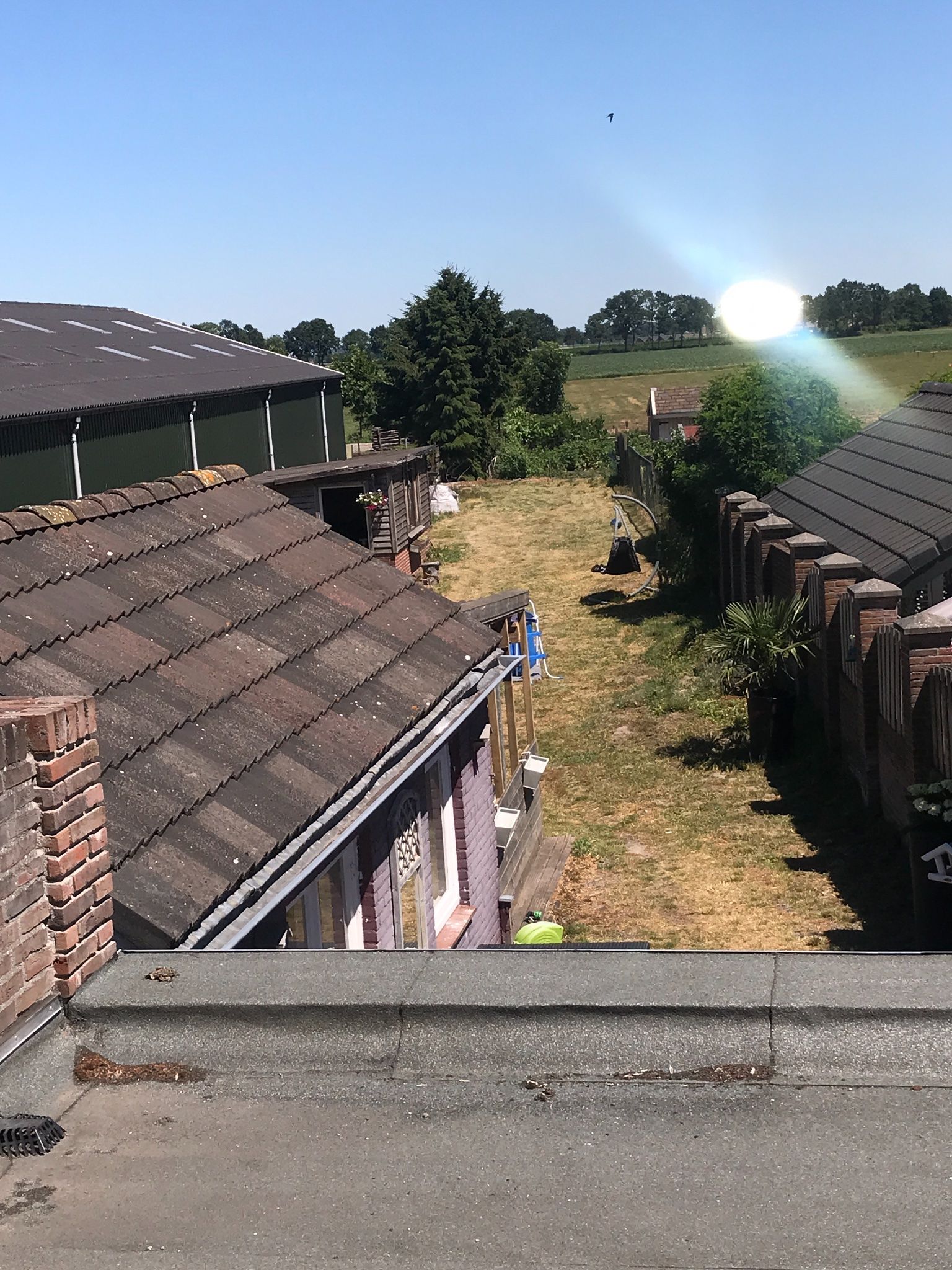 Puin ruimen en tuin egaliseren 500 m2 - Werkspot Puin ruimen en tuin egaliseren 500 m2 - Werkspot